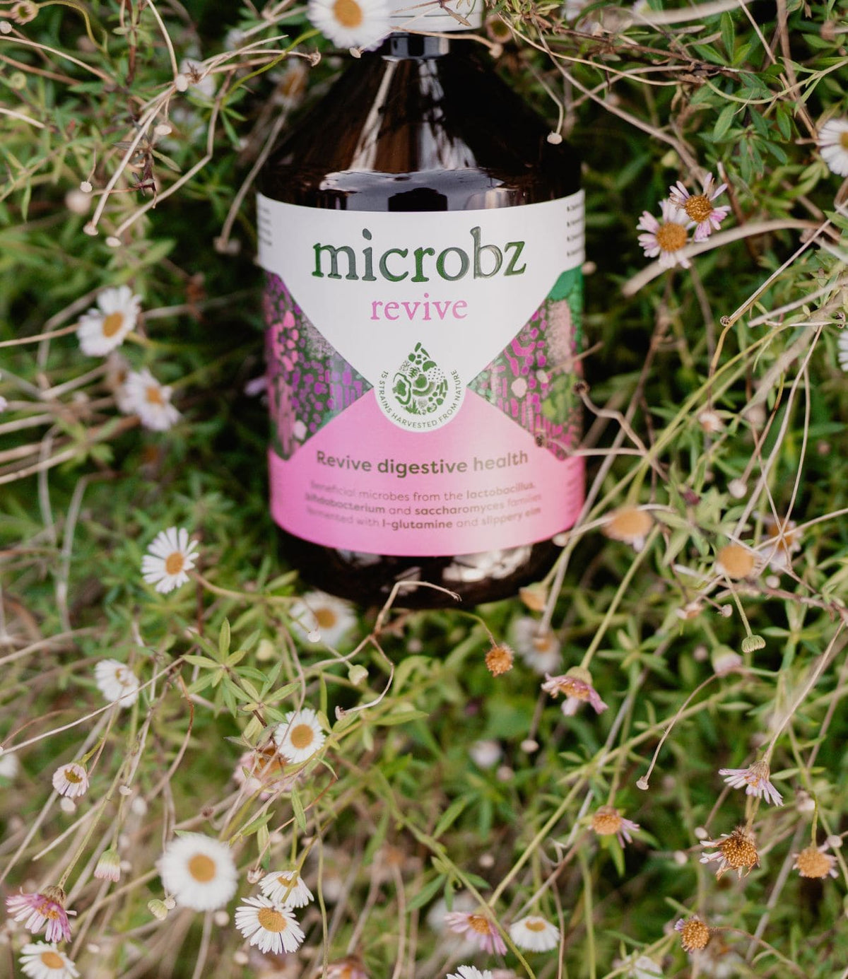 Organic probiotics, UK made to boost your gut and wellbeing | microbz