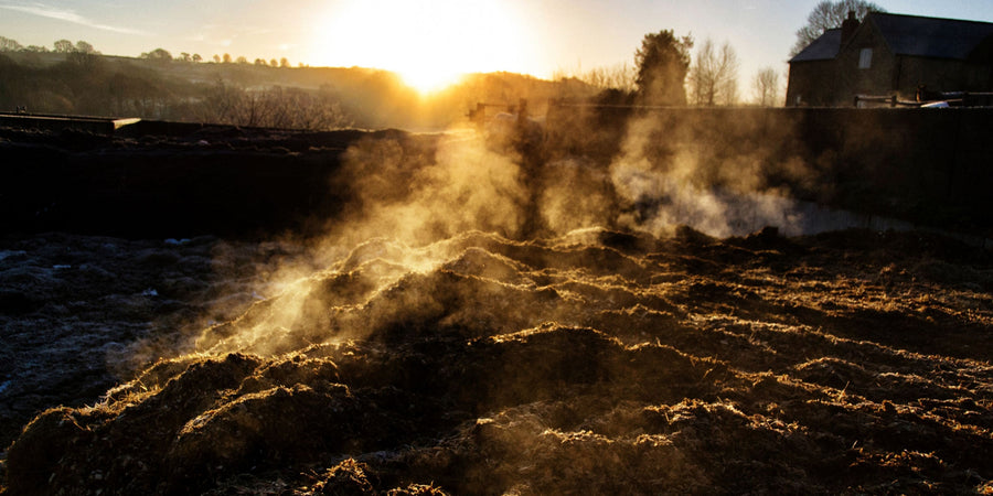 natural probiotics to enhance manures, slurry and silage