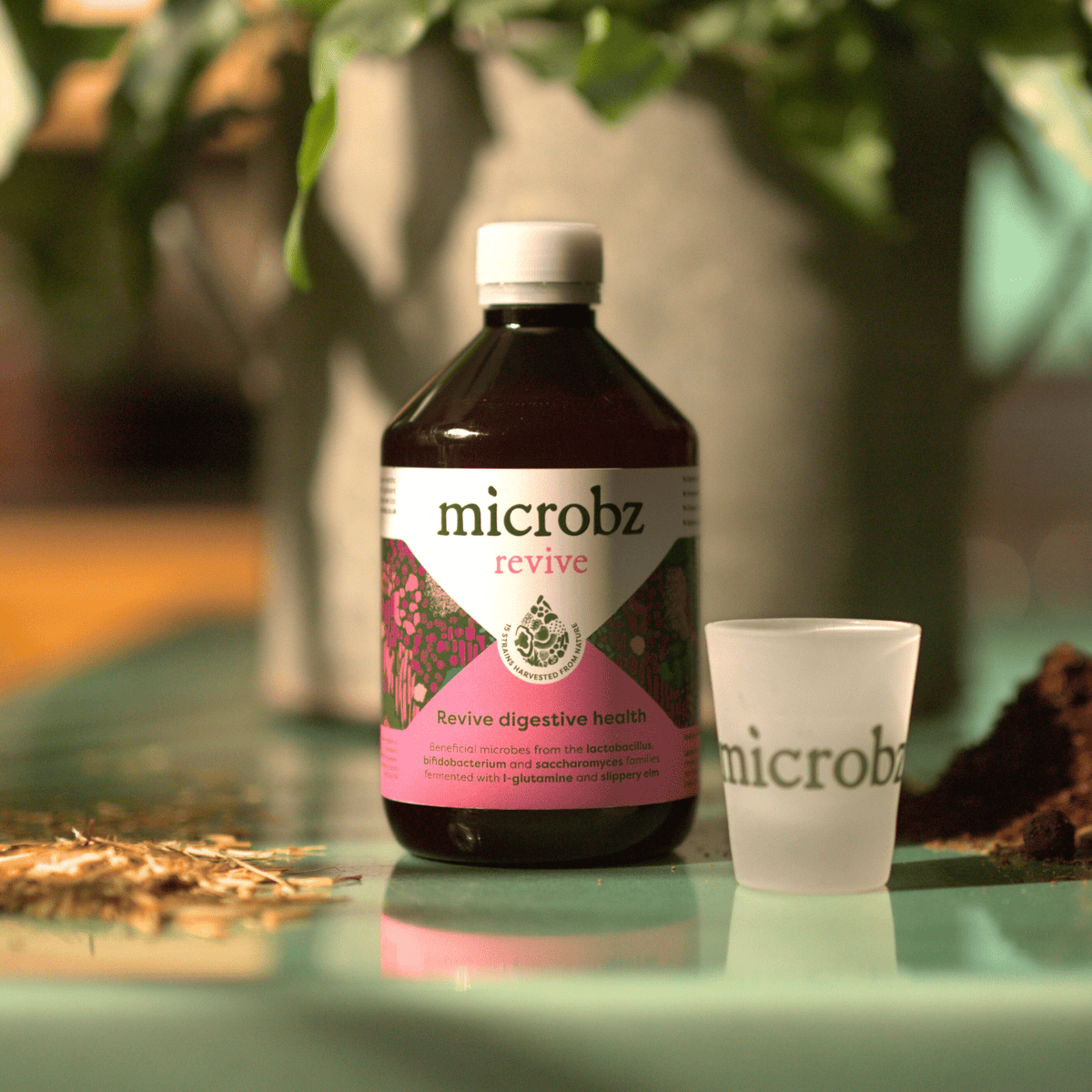 Natural probiotics to boost your gut and wellbeing, UK made | microbz